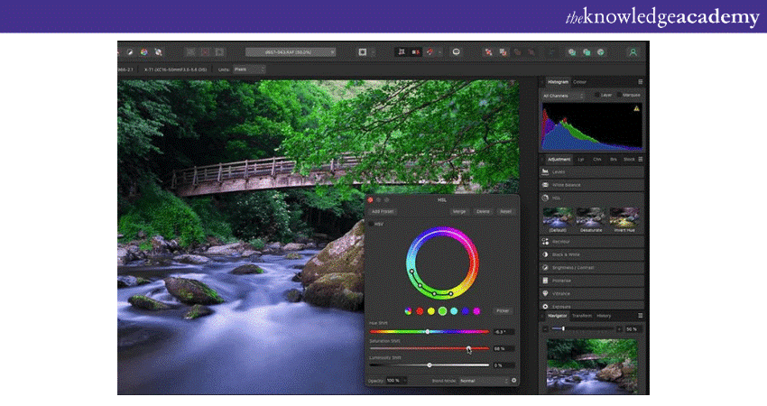 10+ Best GIMP Alternatives That You can USe